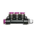 Push-In Air Fitting Male Manifold 1/8"