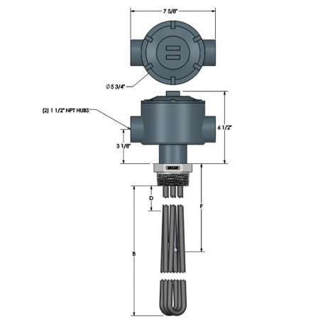 Watlow BLR710L3C | 2-1/2" NPT screw plug immersion heater